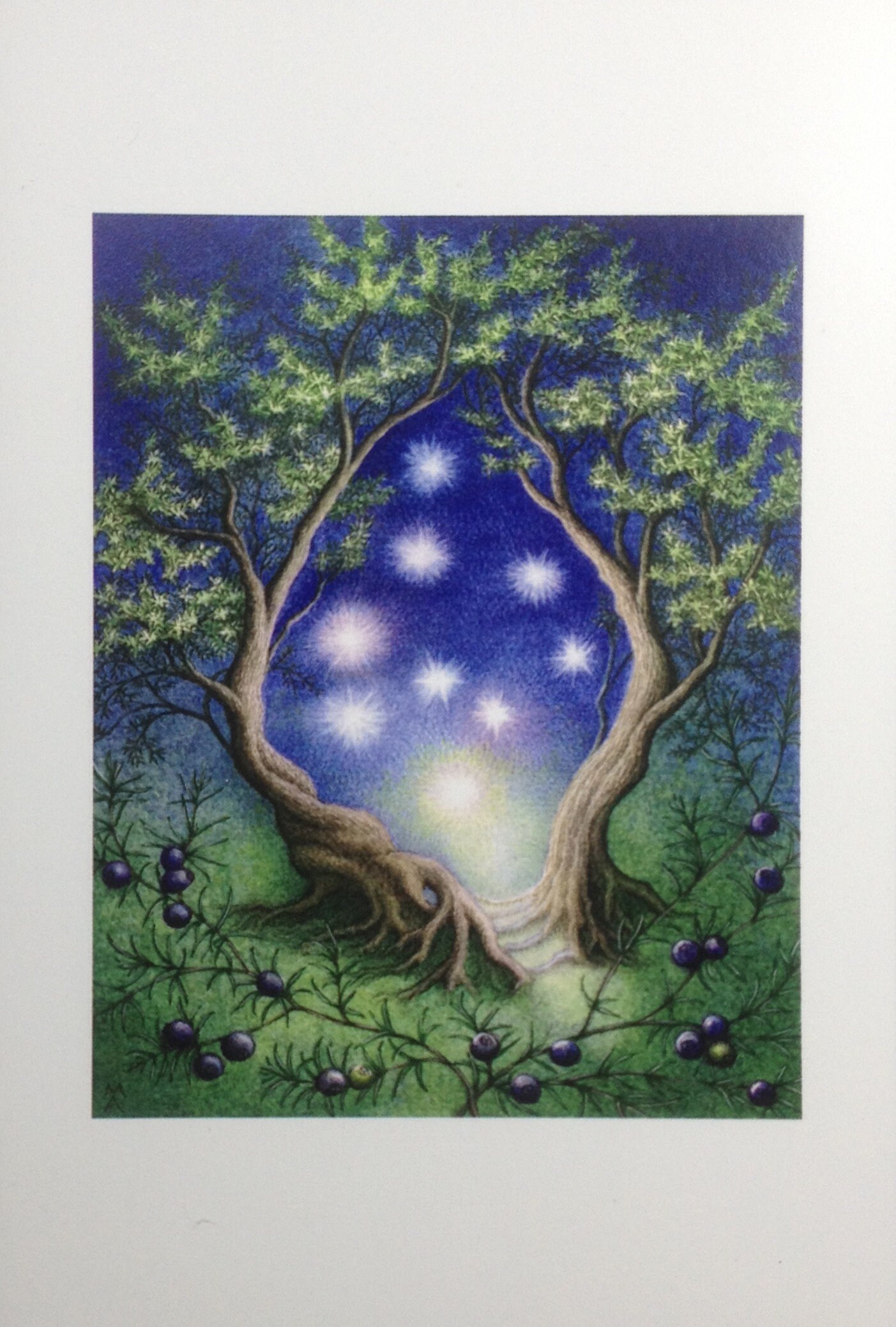 Set of Five Greetings Cards: moonlight and Magic. - Etsy