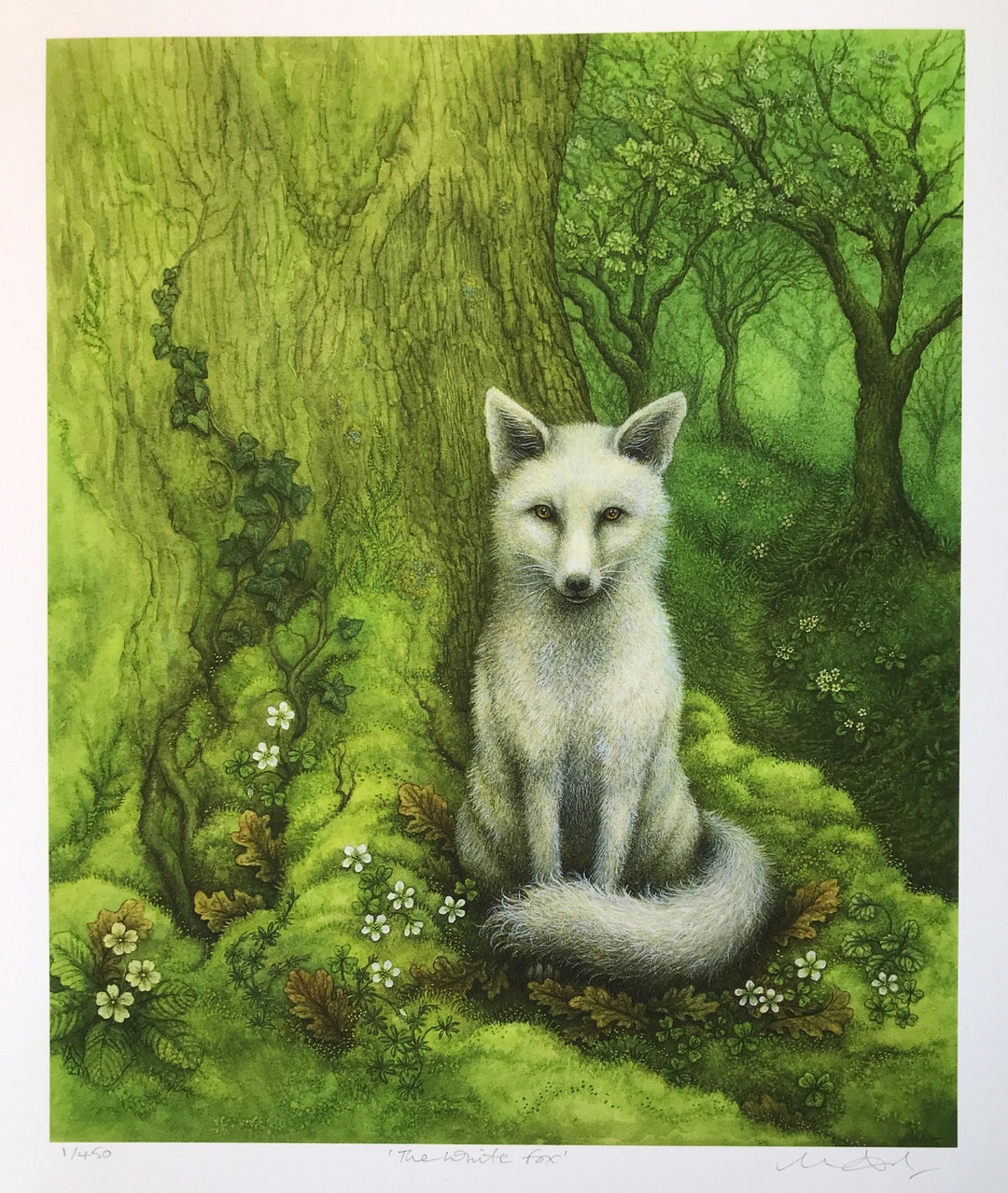 Limited Edition Print of "the White Fox" - Etsy