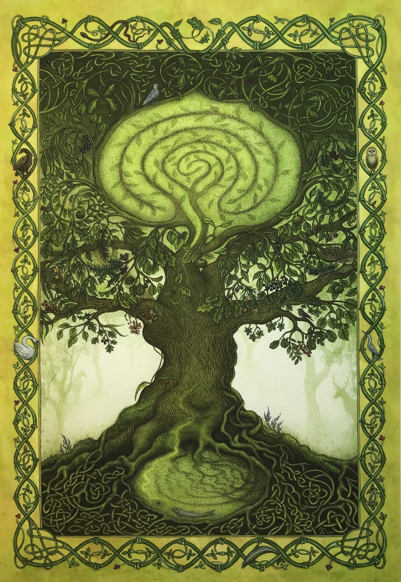 Limited Edition Print of journey Tree. - Etsy