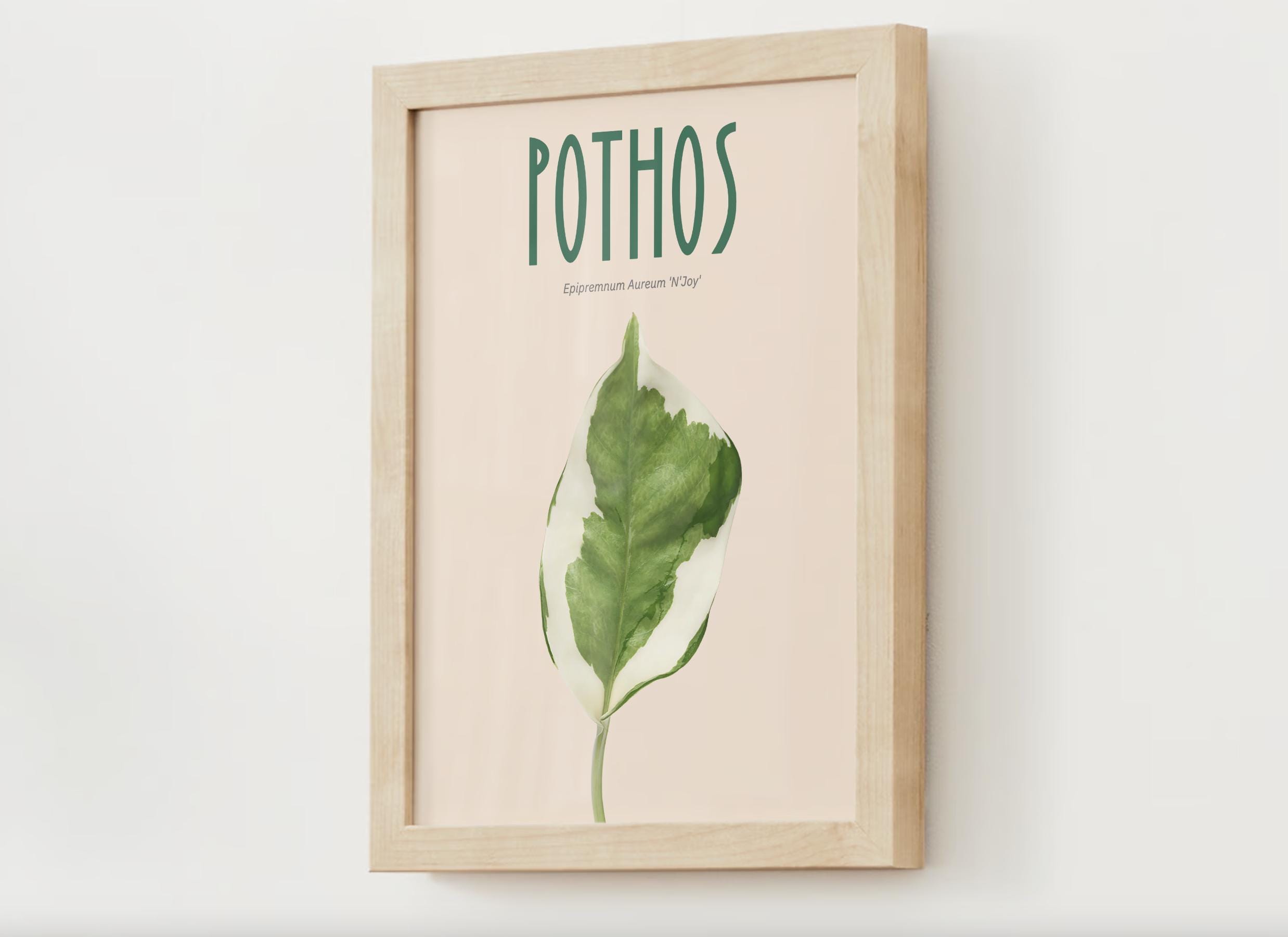 Pothos Epipremnum Aureum N'joy House Plant Poster Art Print ...
