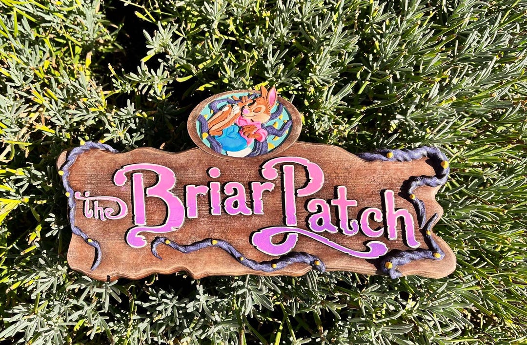 The Briar Patch Splash Mountain 10" Sign - Etsy