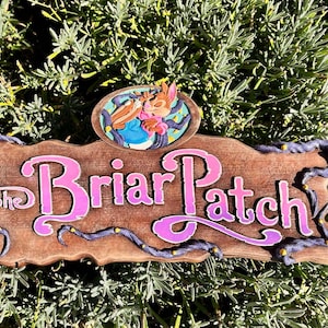 The Briar Patch Splash Mountain 10" Sign - Etsy