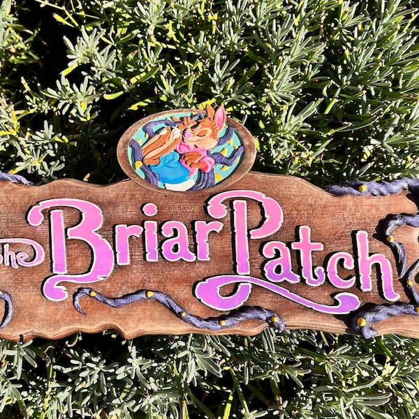 Splash Mountain Decor - Etsy