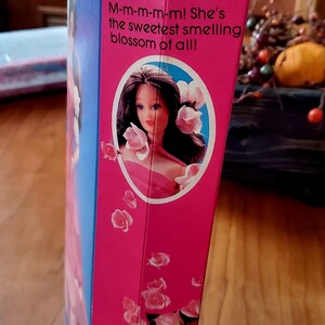 1983 Sweet Roses PJ Barbie Vintage Nrfb - Etsy