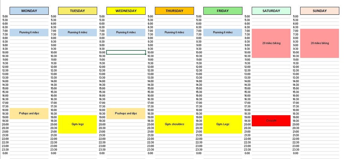 FITNESS PLANNER Excel Template Workout Planner Daily - Etsy