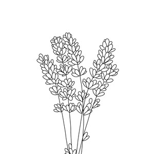Lavender Line Art / Printable Art / Instant Download / Minimalist - Etsy