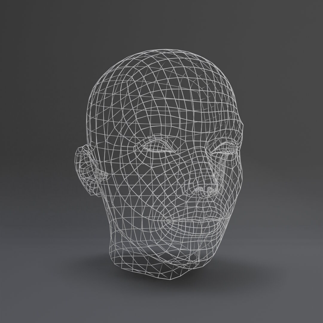 Wireframe Face