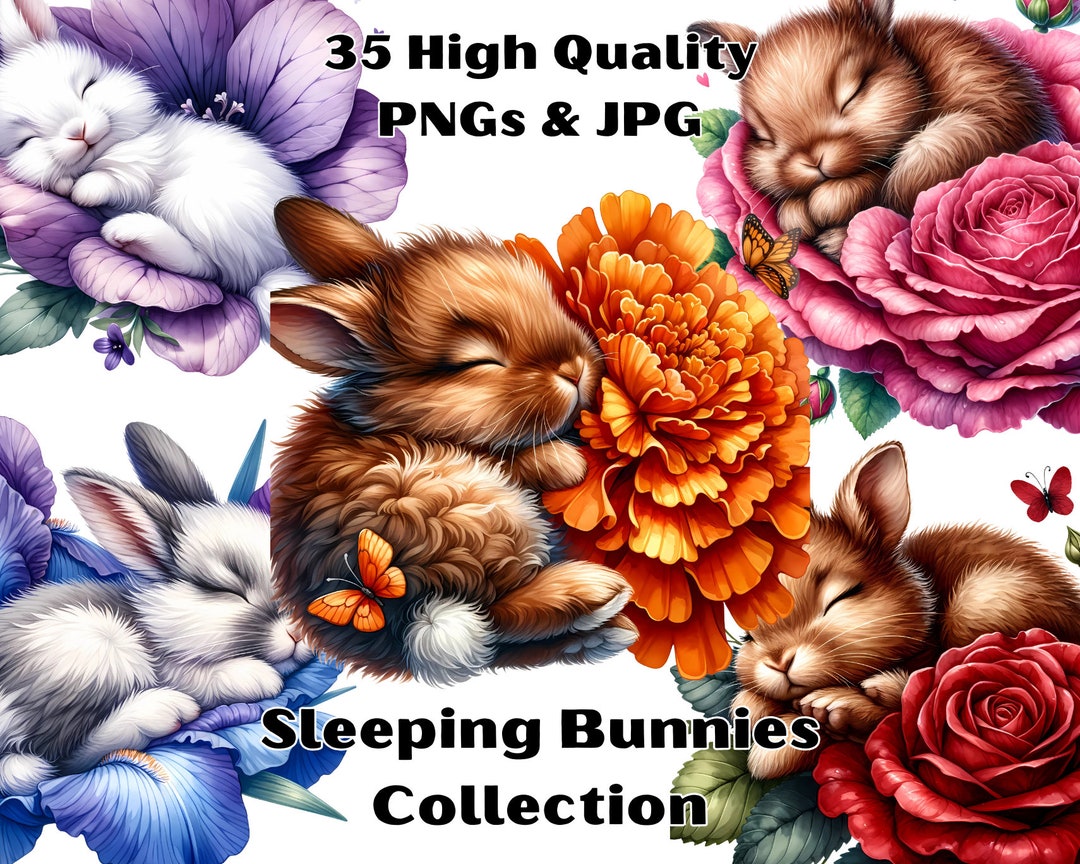 Watercolor Sleeping Baby Bunny Clipart: Nursery PNG Graphics ...