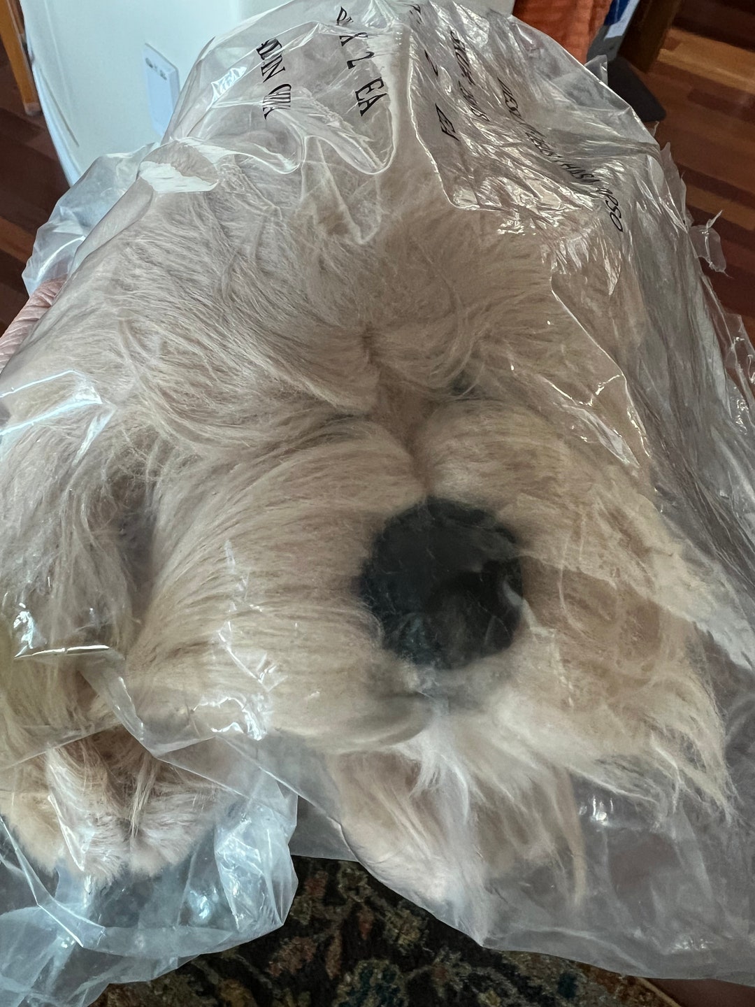 Lou Rankin Friends Dakin Lhasa Apso - Etsy