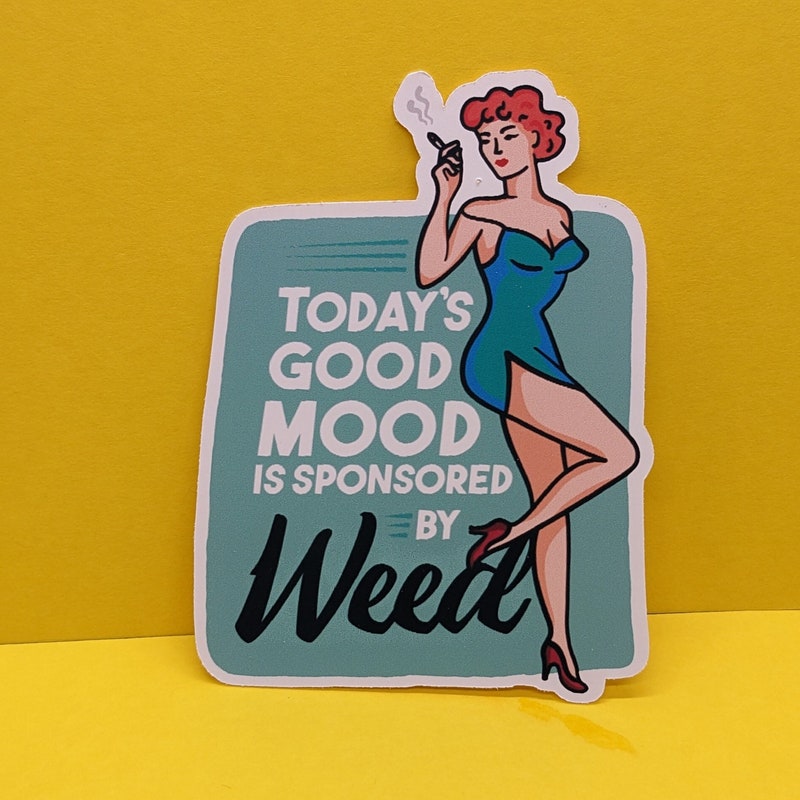 Pin Up Girl Stickers Etsy