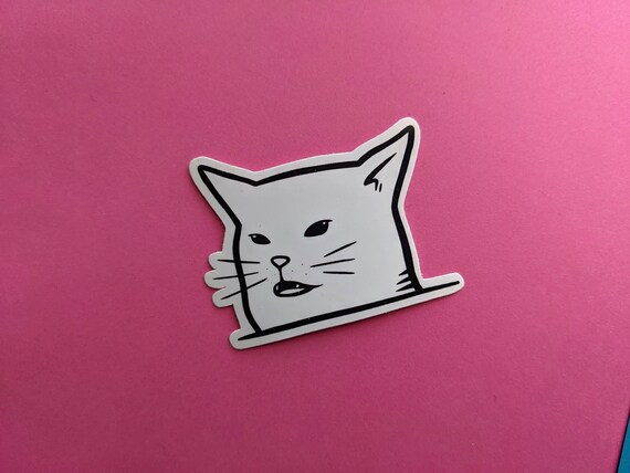 Funny Confused Cat