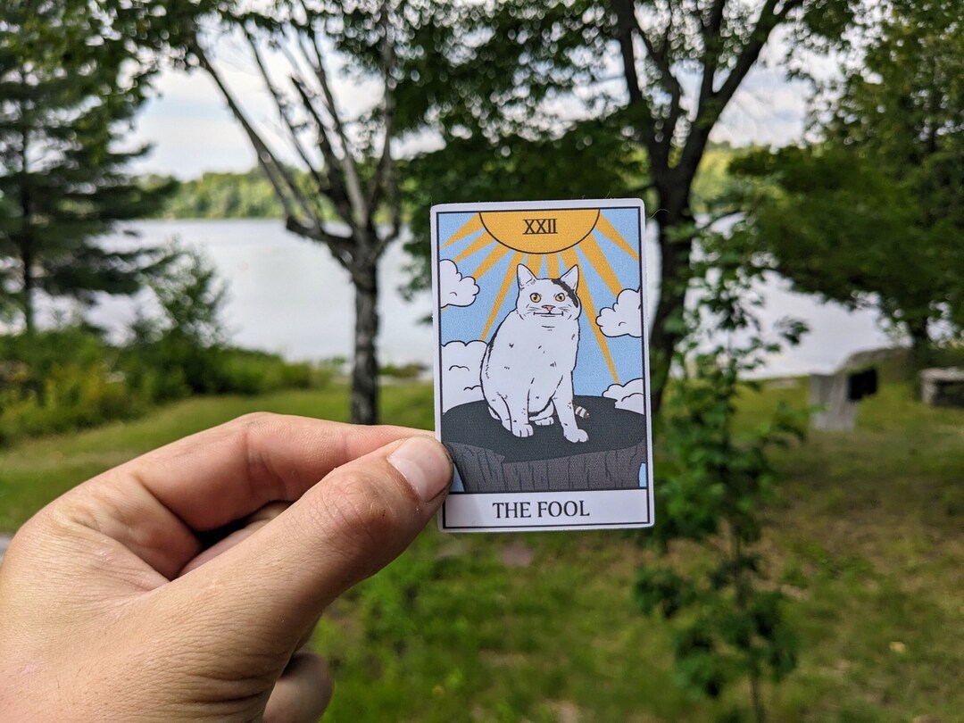 Hilarious 'the Fool' Cat Tarot Card Sticker for a Purr-fectly Unique ...