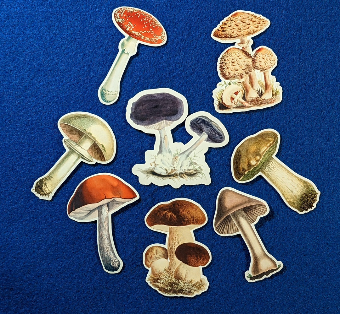 Mushroom Stickers Pack, 8 Vintage Style Mushroom Stickers, Fungi ...