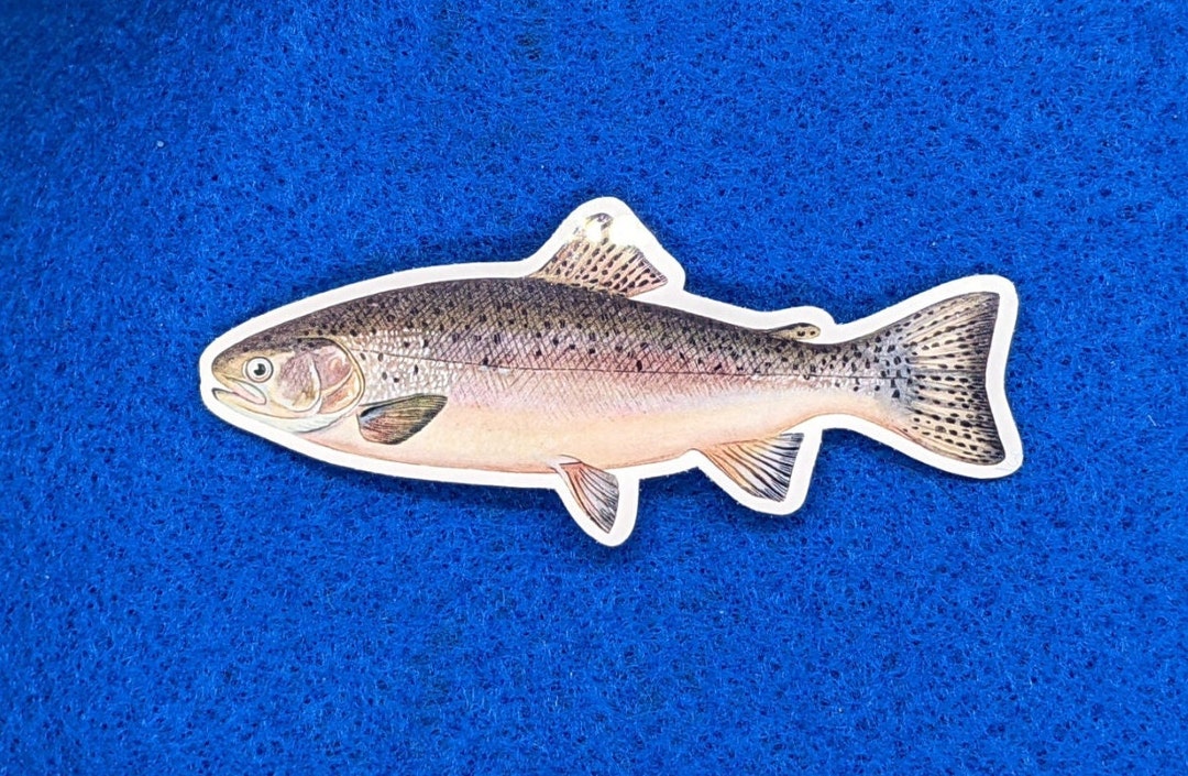 Rainbow Trout Vinyl Sticker, Fish Sticker Perfect for Canoes, Kayaks ...