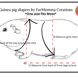 Guinea Pig Cavy Diaper With Bib / Collar Waterproof Designed - Etsy