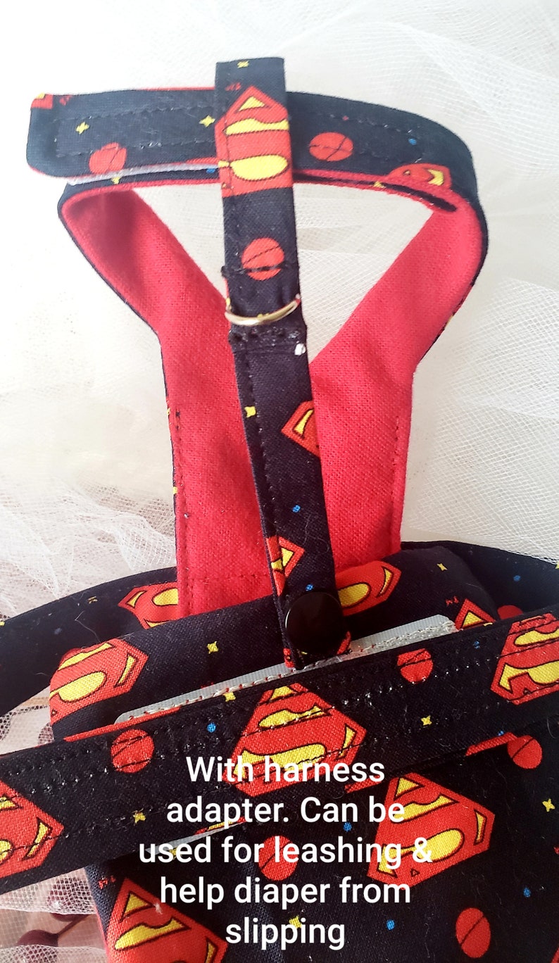 Guinea Pig Cavy Diaper With Bib / Collar Waterproof Designed - Etsy