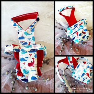 Guinea Pig Cavy Diaper With Bib / Collar Waterproof Designed - Etsy