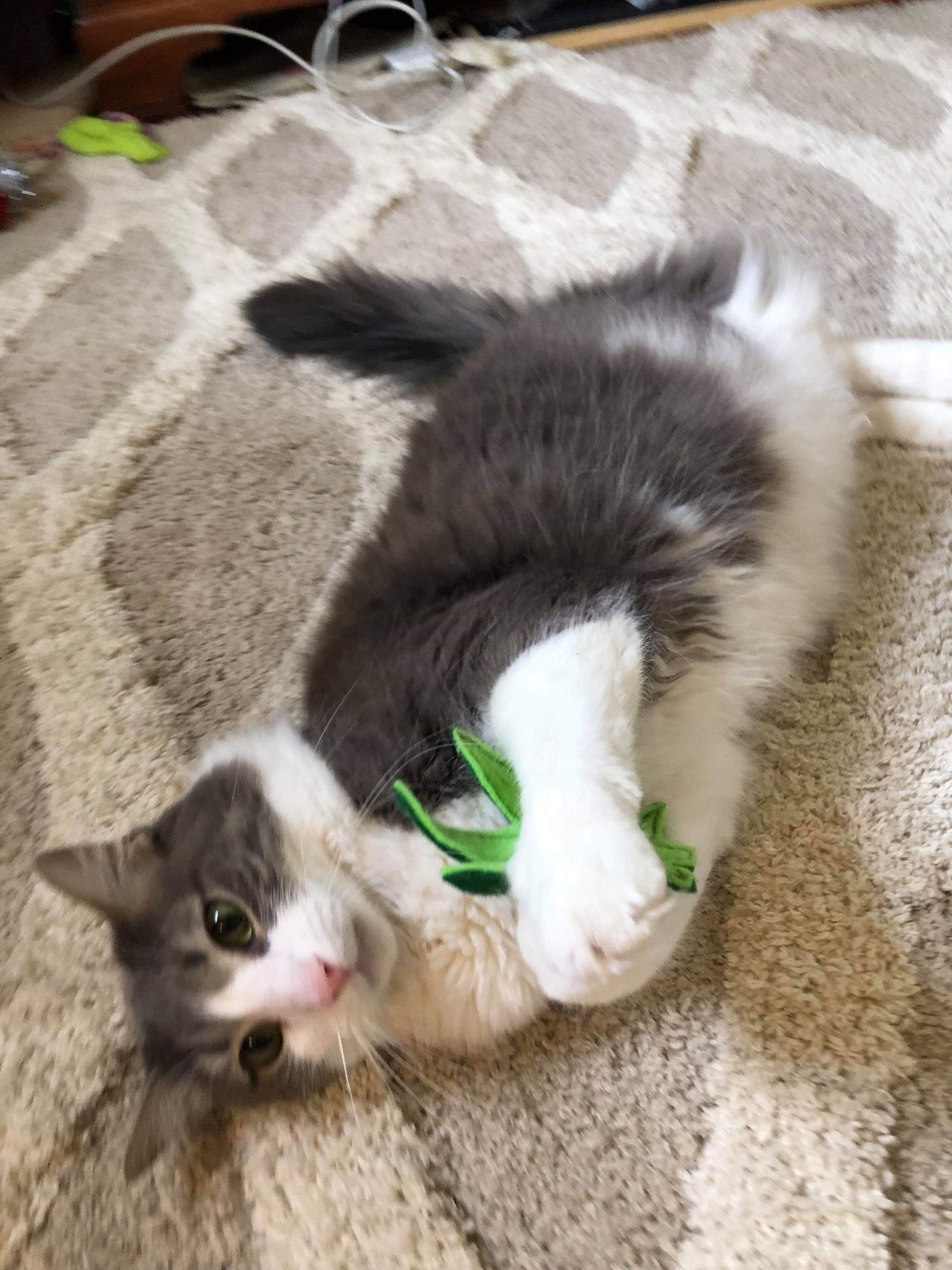 Cannabis Weed Marijuana Joint 420 Kitty Stash Cat Nip Toy 100% - Etsy