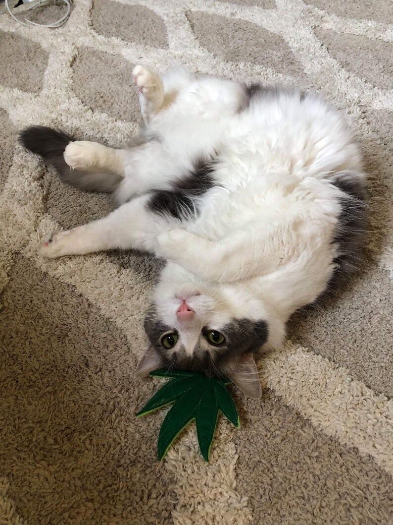 Cannabis Weed Marijuana Joint 420 Kitty Stash Cat Nip Toy 100% - Etsy
