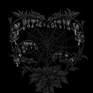 bleeding heart spider