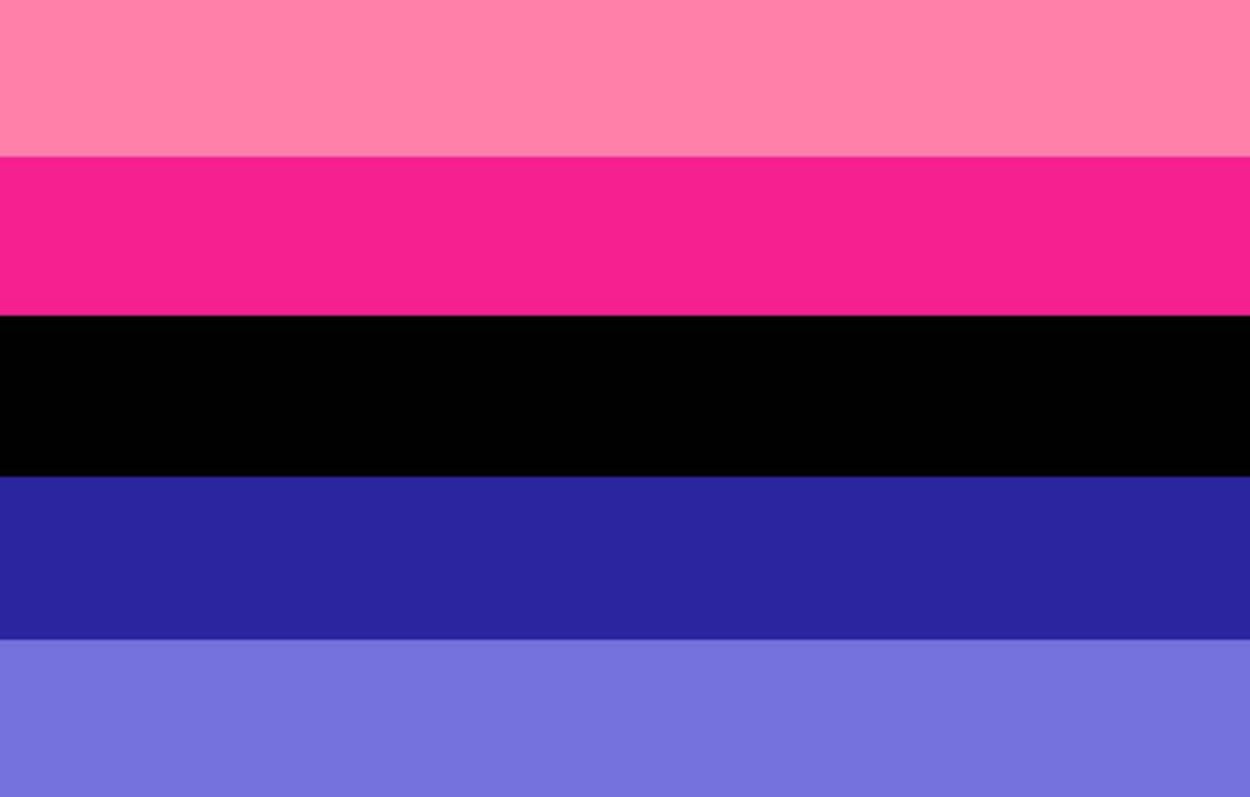 Omnisexual Pride Flag Printed Grosgrain Ribbons 3 Inch7/8 - Etsy
