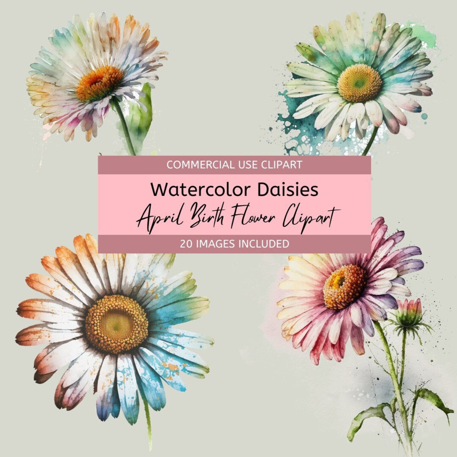 Watercolor Wash Daisy Clipart, April Birth Flower, Transparent ...