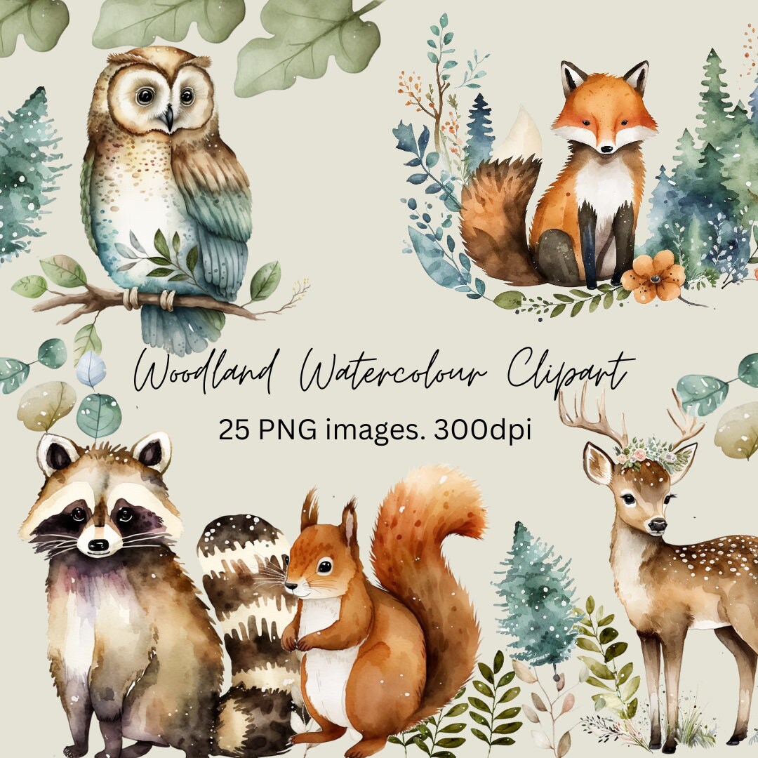 Woodland Watercolor Animals Clipart, 25 Piece Bundle. Fox Owl Racoon ...