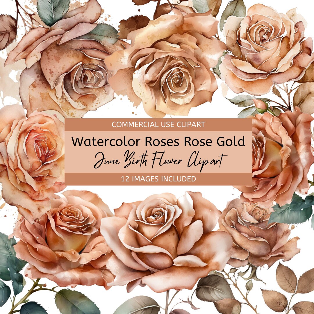Watercolor Roses, Rose Gold, June Birth Flower, Transparent Backgrounds ...