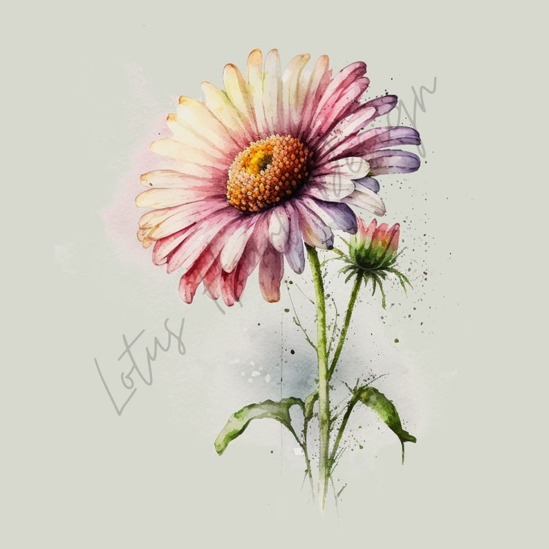 Watercolor Wash Daisy Clipart, April Birth Flower, Transparent ...