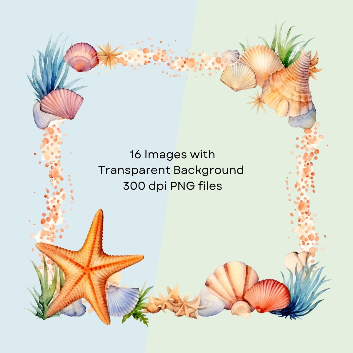 Seashell Border Clipart, Ocean Coral Frame Clip Art, Starfish & Shell ...