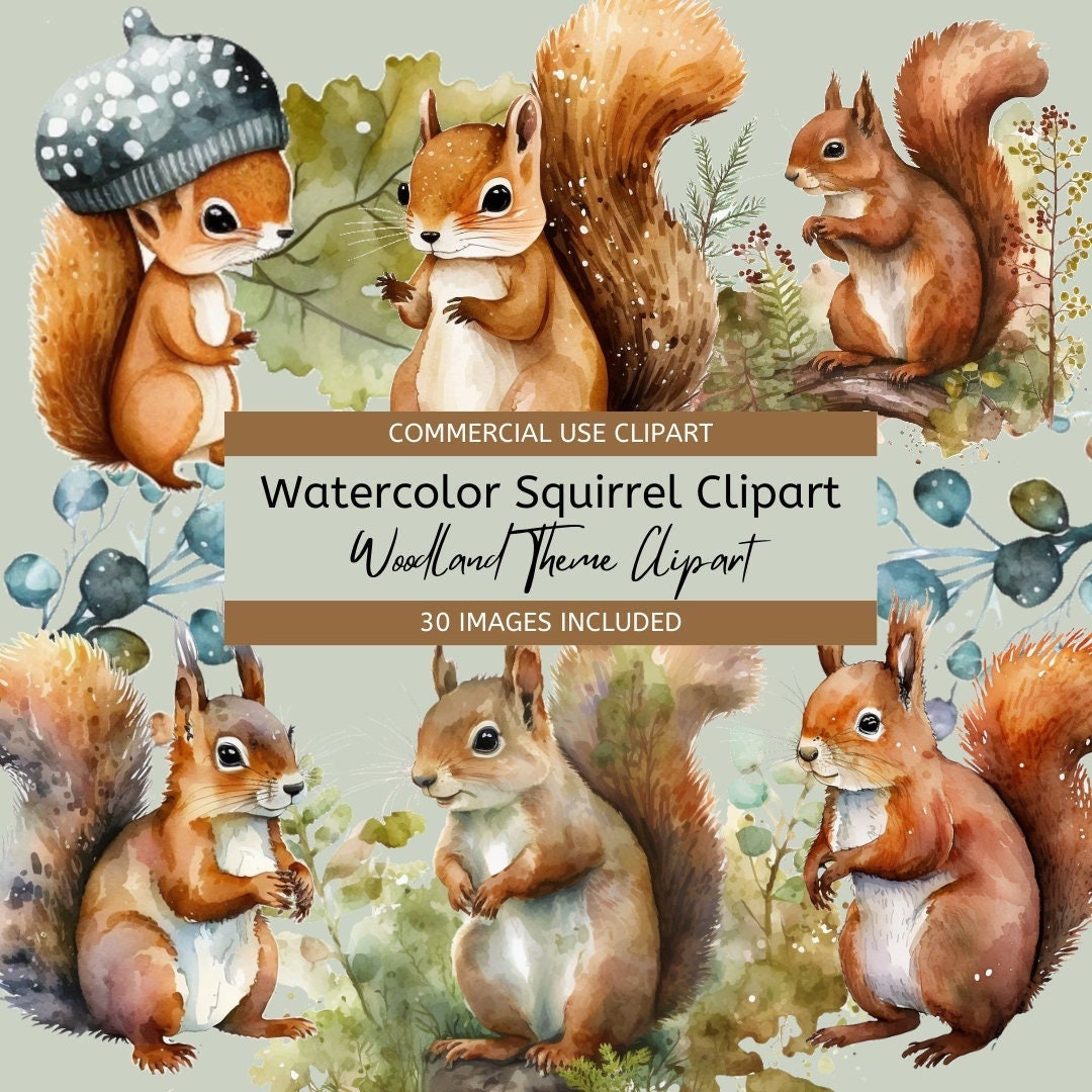 Watercolor Squirrel & Woodland Clipart, 30 Images, PNG Clipart ...