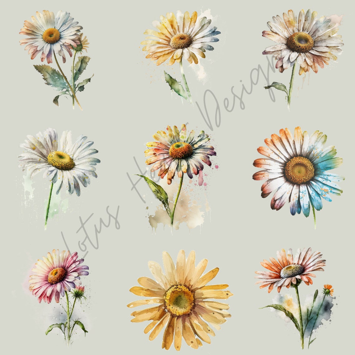 Watercolor Wash Daisy Clipart, April Birth Flower, Transparent ...