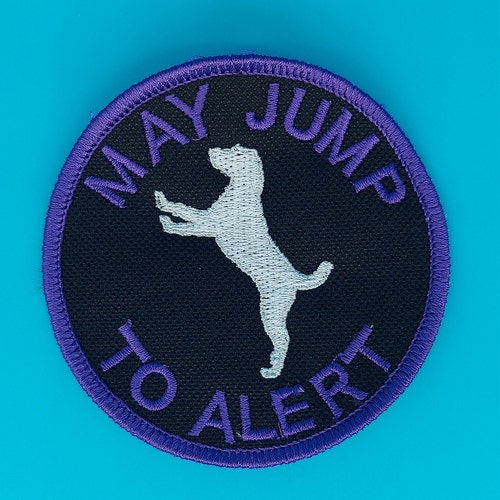 Halloween Spooky Service Dog Patches Spooky Dinosaurs Costumes | Etsy