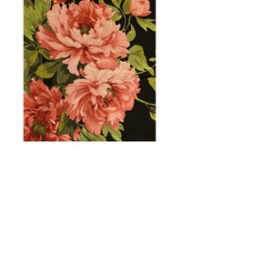 Scented Garden Large Scale Floral Fabric by Michael Miller Patt DCX4363 ...