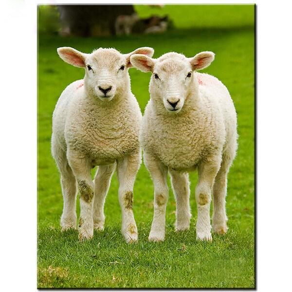 Sheep Painting - Etsy