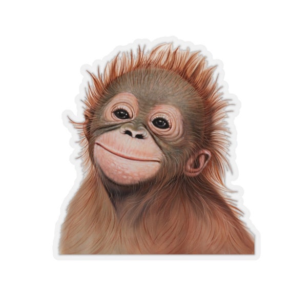 Orangatang Sticker