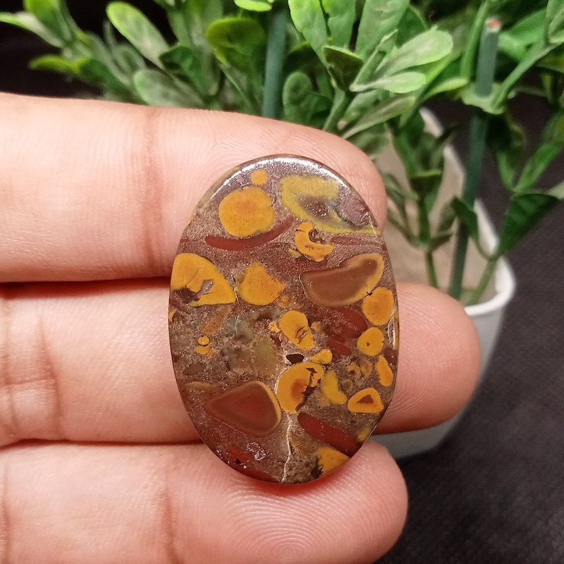 Jazper Stardust - Etsy