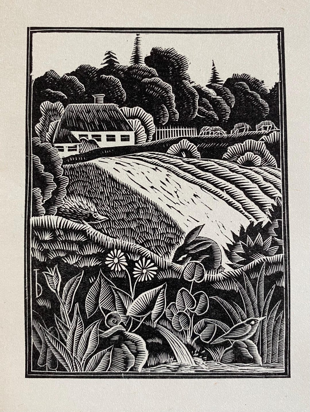 1925 ALAN BOLD Woodcut Print Rabbit for 'broomsticks and Other Tales ...