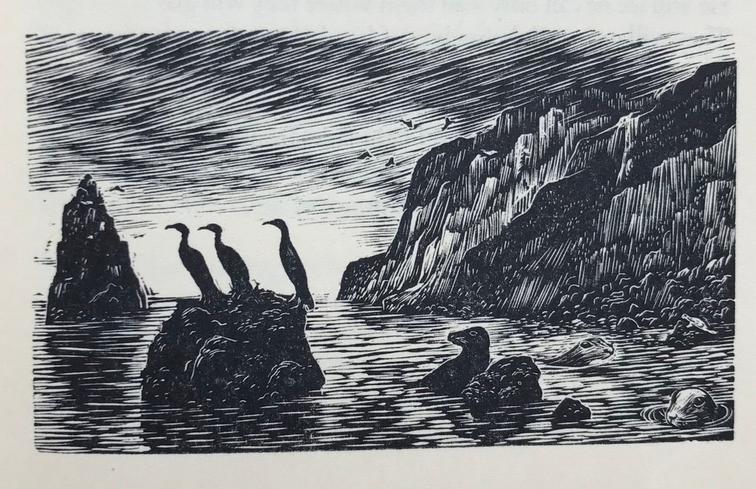 1979 HILARY PAYNTER Wood Engraving. Cormorants at Caldey - Etsy