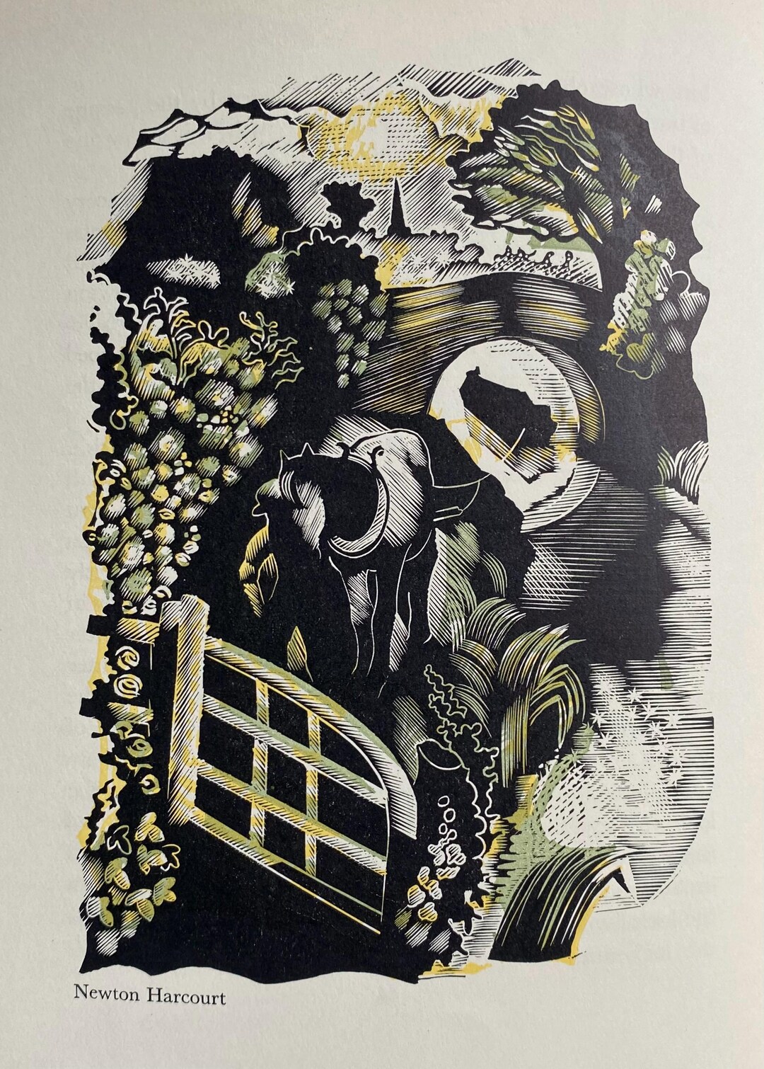 1950 JOHN O'CONNOR Wood Engraving/linocut From Original Block 'newton ...