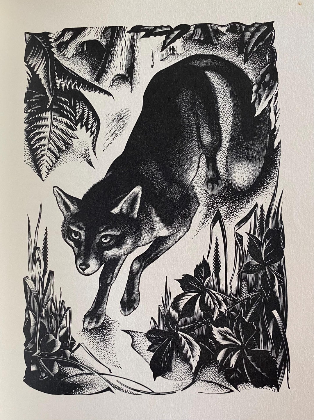 1936 AGNES MILLER PARKER 'fox' Woodcut Printed at Camelot Press C.10x7 ...