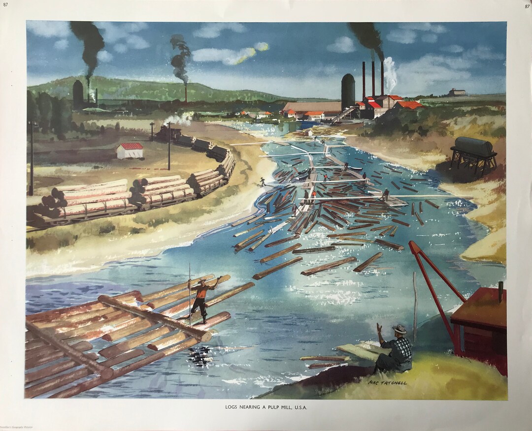 1950s LITHOGRAPH Logging Pulp Mill Lumber Large School Poster Sheet ...
