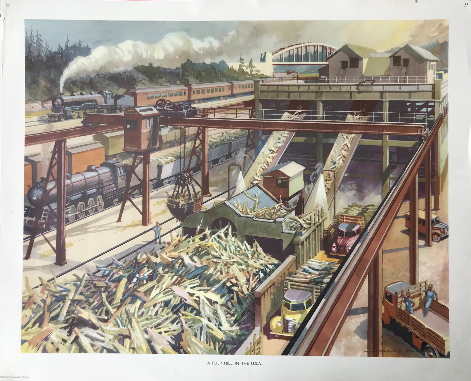 1950s LITHOGRAPH Logging Pulp Mill Lumber Large School Poster Sheet ...