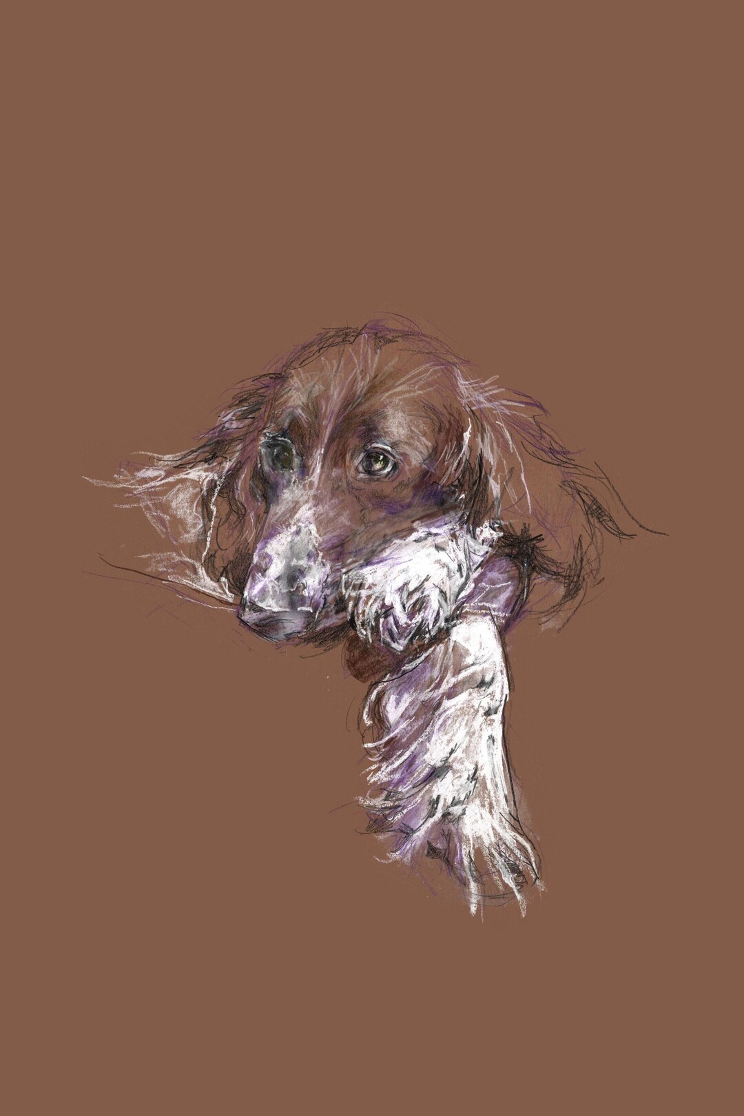 Beertje (bea) Vonk 'SPRINGER SPANIEL' Print on Zerkall Handmade Paper. A4. Dog Painting. - Etsy