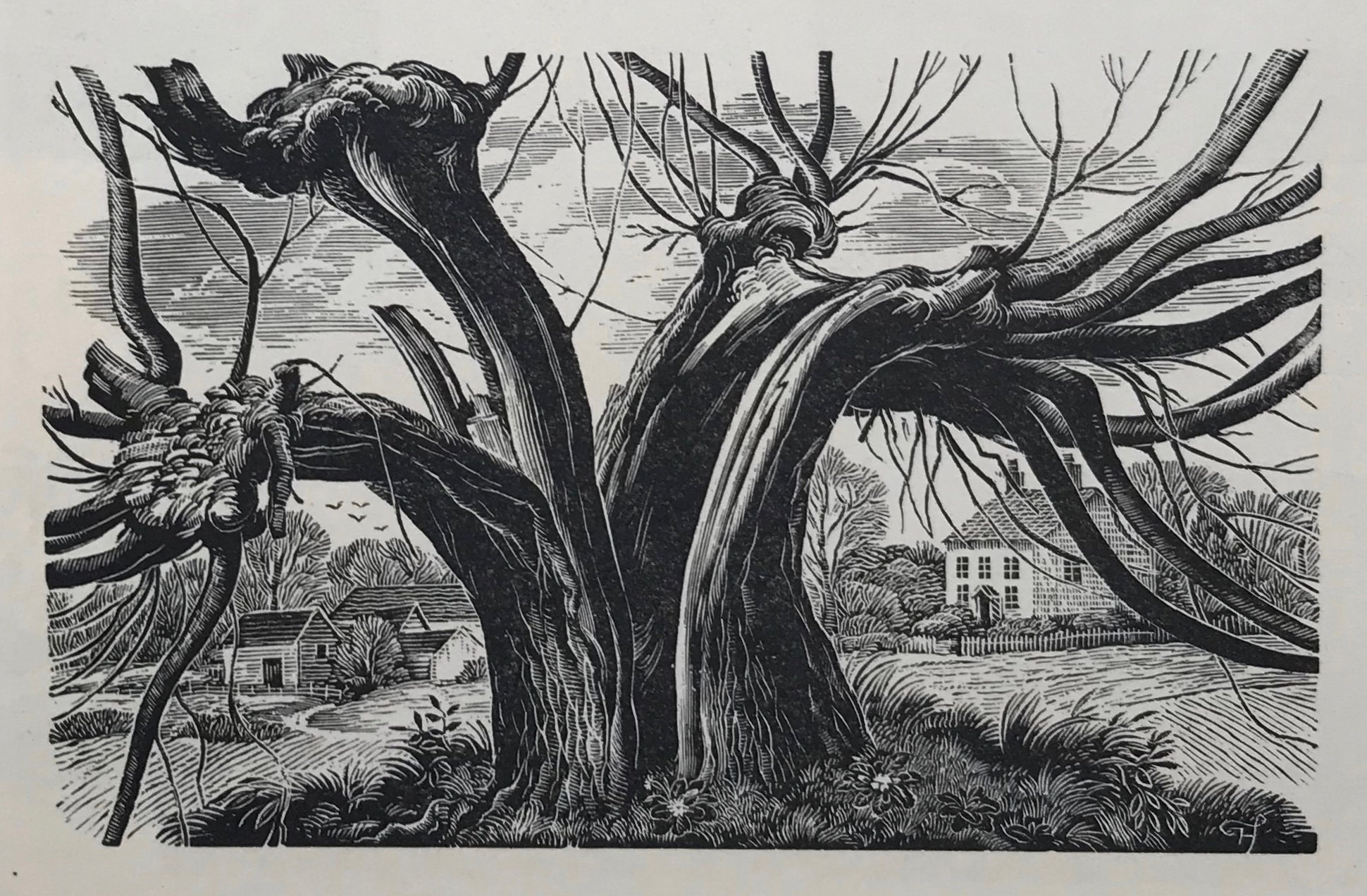 1950 JOAN HASSALL Wood Engraving 'our Village' Lightning Oak. Printed ...