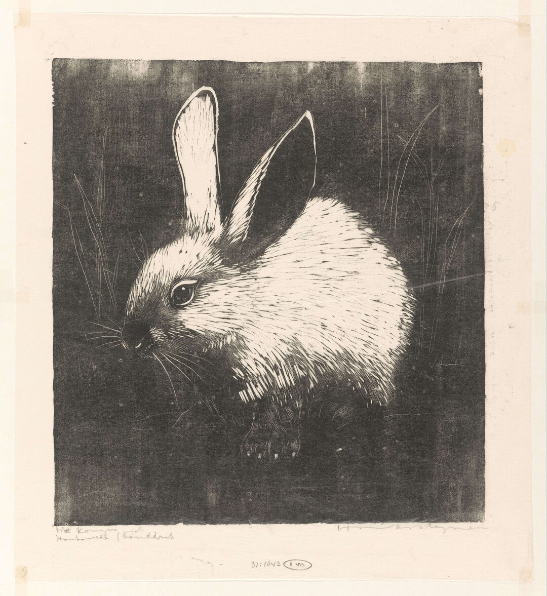 HENRI VERSTIJNEN RABBIT Original in the Rijksmusem, Amsterdam. Printed ...