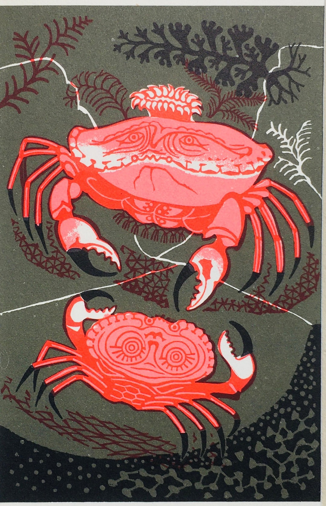 1956 Edward Bawden Print 'an Old Crab and a Young' W.s.cowell. 'type ...