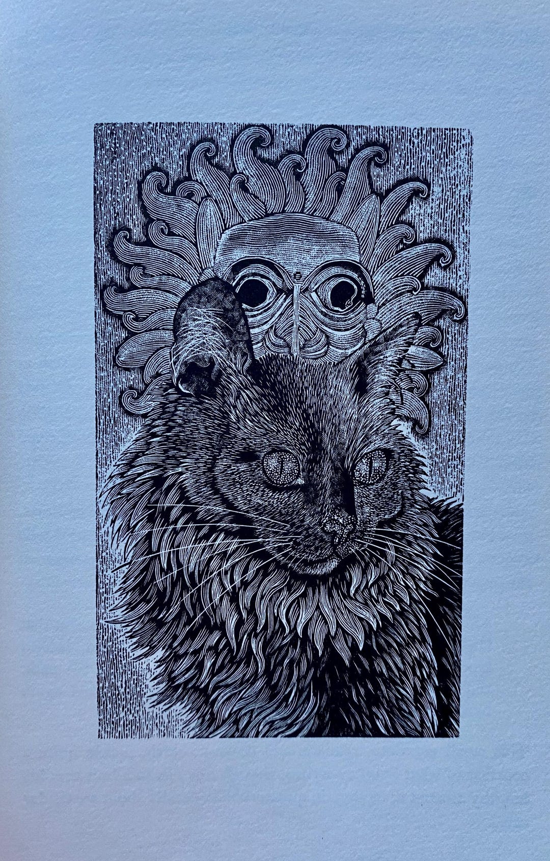 2015 NORWEGIAN FOREST CAT Engraving by Chris Daunt. Printed by Incline ...