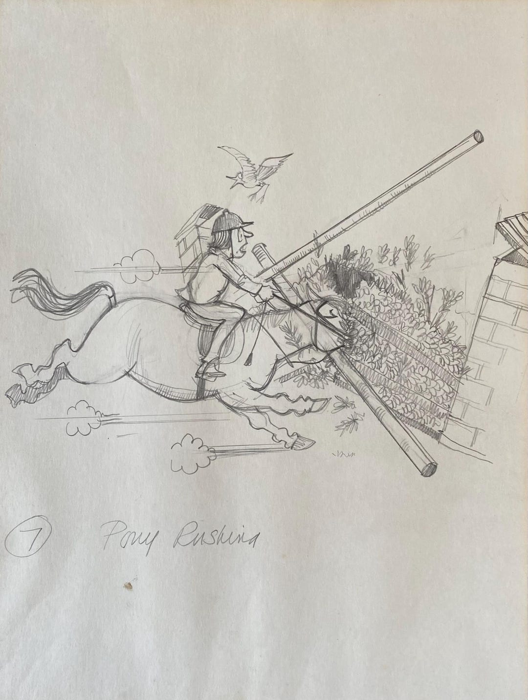 C.1960 Thelwell-style Signed Pencil Cartoon. A3 Sheet C.16x12ins.. Pony ...