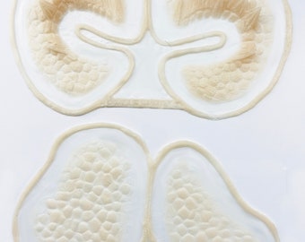 Snake Scales/reptile Forehead, Cheeks and Chin Prosthetic, SFX Makeup ...